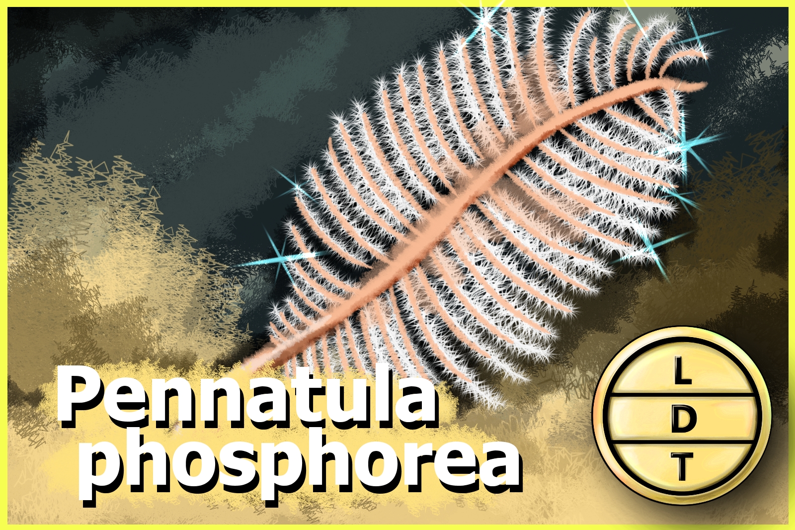 Did You Know That The Sea Pen Is Actually Multiple Animals In One 